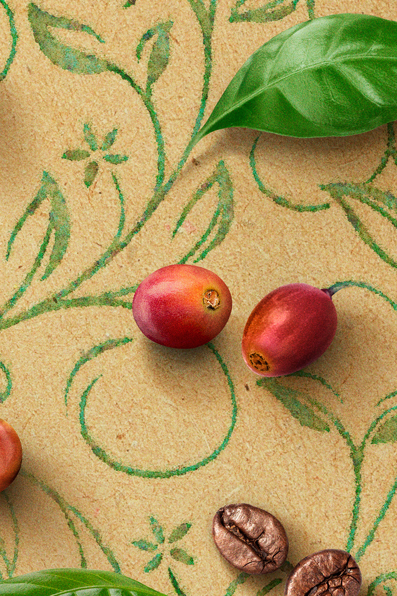 Sustenabilitate | Jacobs | Jacobs MD